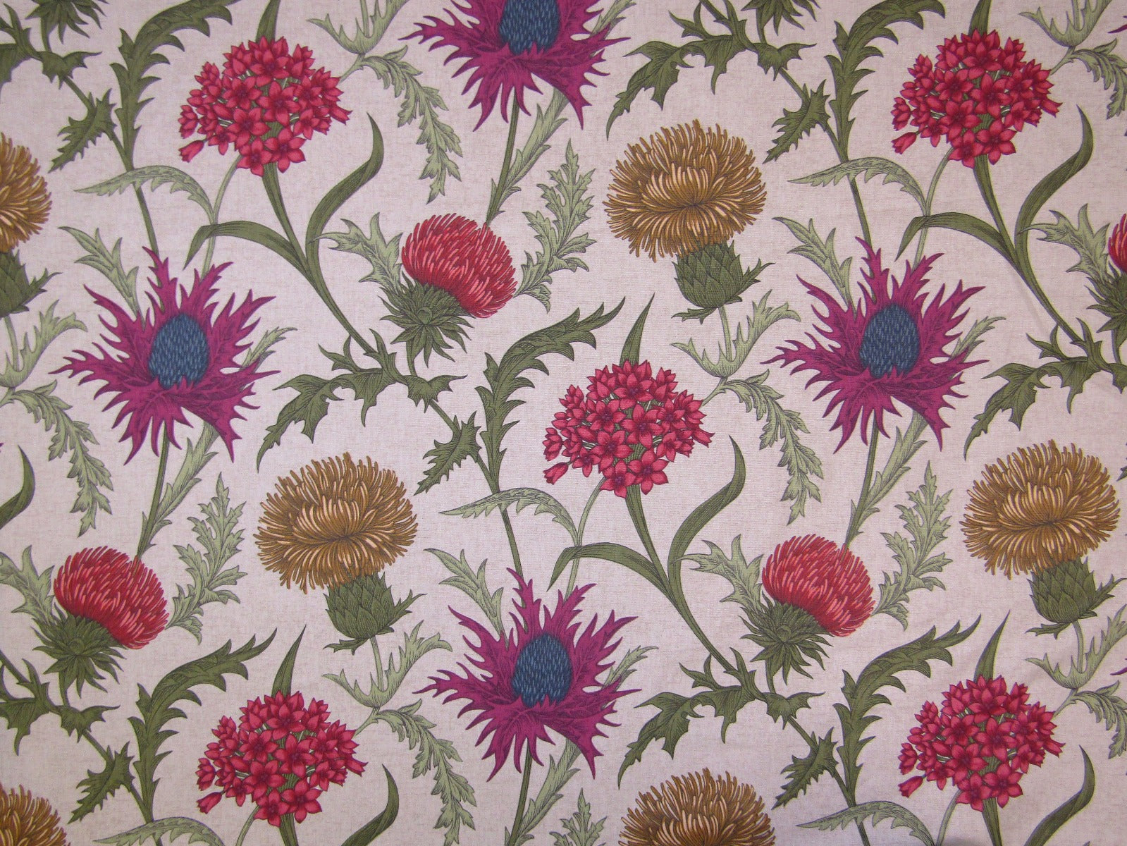 Acanthium Garnet | Textile Express | Buy Fabric Online