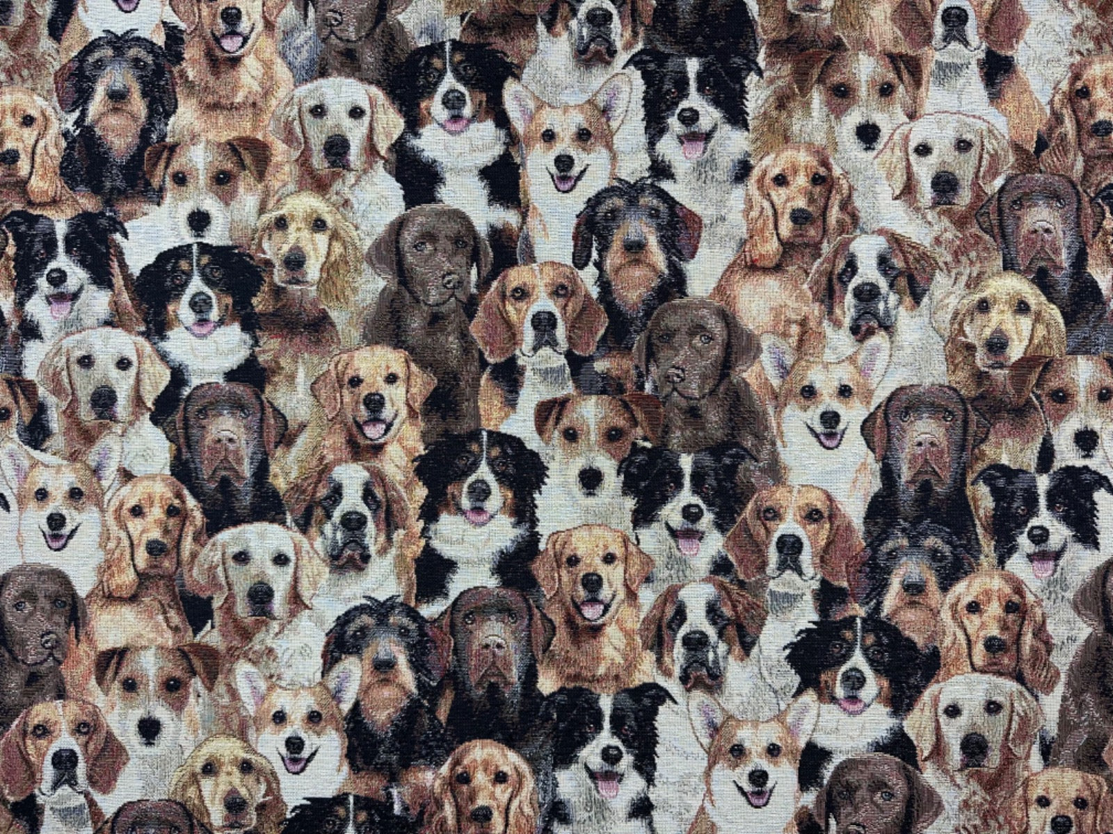 T555 Dog Faces Tapestry | Textile Express
